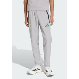 adidas Performance Sporthose 'Algerien Tiro' Herren Gr&ouml;&szlig;e L hellgrau / tanne / schwarz / wei&szlig;