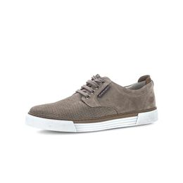 Gabor Herren Sneaker &raquo; Sneaker low Rauleder&laquo; 44