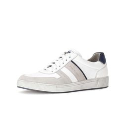 Gabor Herren Sneaker &raquo; Sneaker low Materialmix Leder&laquo; 42