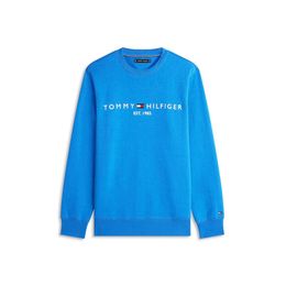 Tommy Hilfiger Sweatshirt male Blue size S