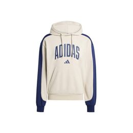 adidas Sportswear Athletic Sweatshirt 'COLLEGIATE' male Grey size M