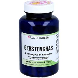 Hecht-Pharma Gerstengras 250 mg Gph Kapseln 120 St