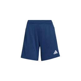 adidas Performance Workout Pants 'ENT26 TR' female Blue size S