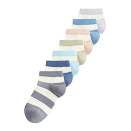 next Socks boy Mixed colors size 6-8.5 Jnr