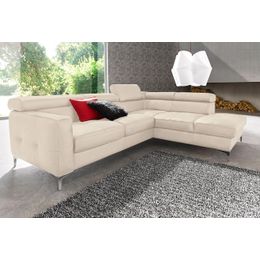 Ecksofa COTTA "Sammy L-Form", beige (creme), B:239cm H:74cm T:207cm, Microfaser Primabelle (100% Polyester);Die R&uuml;ckseite und die Liegefl&auml;che der Bettfunktion in NaturLEDER ist mit schwarzem Spannstoff bezogen, Sofas, Ecksofa, mit Kopfteilverstellung, wahlweise mit Bettfunktion & Bettkasten