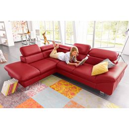 Ecksofa COTTA "Driver L-Form", rot, B:268cm H:73cm T:214cm, Kunstleder SOFTLUX;LEDER BEEFY (ein abgedecktes Spalt-Rindsleder) im Sitz und R&uuml;cken (Korpus in Kunstleder);Luxus-Kunstleder;NaturLEDER (echtes Rindsleder) im Sitz und R&uuml;cken (R&uuml;ckseite mit Spannstoff bezogen), Sofas, Ecksofa, mit Kopfteilverstellung, wahlweise mit Bettfunktion & Bettkasten