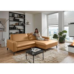 Ecksofa DIE PLANBAR "PN-EM20028 L-Form ohne Kopfst&uuml;tzen", gelb (kurkuma), B:248cm H:89cm T:179cm, Sofas, Ecksofa, wahlweise mit motorischem Canape