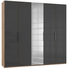Kleiderschrank wimex "Level by fresh to go", grau (plankeneichefarben, grauglas), B:250cm H:236cm T:58cm, Schr&auml;nke, Kleiderschrank, mit Glas- und Spiegelt&uuml;ren