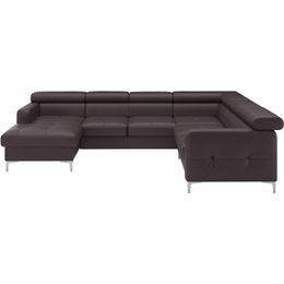 Wohnlandschaft COTTA "Sammy U-Form", braun, B:304cm H:74cm T:240cm, NaturLEDER, die R&uuml;ckseite ist mit schwarzem und die Liegefl&auml;che der Bettfunktion ist mit beigem Spannstoff bezogen, Sofas, Wohnlandschaft, mit Kopfteilverstellung, wahlweise mit Bettfunktion & Bettkasten