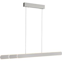 Paul Neuhaus Pendelleuchte "ADRIANAROU", grau (aluminium), 2, H: 6cm, 1 Stk., Leuchten, CCT - &uuml;ber Touch, dimmbar &uuml;ber Touchdimmer, Comfort Lift, Pendelleuchte