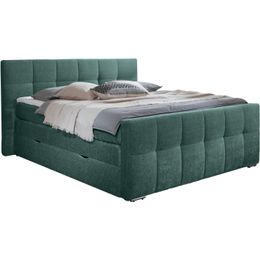 Boxspringbett Home Affaire "Ros&agrave;", gr&uuml;n, B:204cm L:224cm, Komplettbetten, Boxspringbett, H3/H3, H3/H4, H4/H4 m&ouml;glich