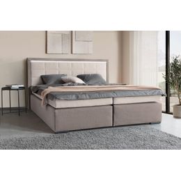 Boxspringbett Collection AB "30 Jahre Jubil&auml;ums-Modell Athena", beige (taupe, beige), B:193cm L:208cm, Holzwerkstoff, Spanplatte, Komplettbetten, Boxspringbett, in H2,H3 & H4, wahlweise mit LED-Leiste