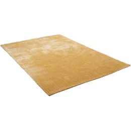 Hochflor-Teppich Gino Falcone "Alessandro" Gr. 2, gold (goldfarben), B:80cm H:25mm L:150cm, Kunstfaser, Teppiche, Hochflor-Teppich, besonders weich durch Microfaser, ideal im Wohnzimmer & Schlafzimmer