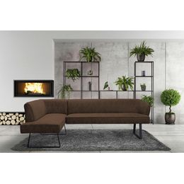 Eckbank exxpo - SOFA FASHION "Americano", braun (chocco), B:249cm H:83cm T:157cm, Sitzb&auml;nke, Eckbank, mit Keder und Metallf&uuml;&szlig;en, Bezug in verschiedenen Qualit&auml;ten