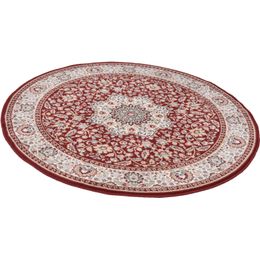 Wollteppich Theko "Dolna - 859", rot, B:240cm H:10mm L:240cm &Oslash;:240cm, Schurwolle, Teppiche, Wollteppich, Kurzflor, reine Wolle, Orient-Optik