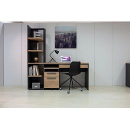 Aktenschrank GAMI "ARCADE", braun (anthrazit, eiche bocage), B:42cm H:62cm T:60cm, Holzwerkstoff, Schr&auml;nke, Aktenschrank, wahlweise 1 Schublade f&uuml;r H&auml;ngeregister oder 1 Stiftbox