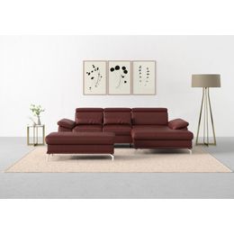 Sit & More Ecksofa SIT & MORE "Cabrio L-Form, B: 295 cm, mit Sitztiefen-, Arm- & Kopfteilverstellung", rot (merlot), B:295cm H:87cm T:180cm, Sofas, Ecksofa, 2 Nierenkissen, Federkern, optional Bettfunktion und Stauraum