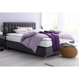 Boxspringbett, grau (anthrazit), B:195cm L:210cm, Microvelours (100% Polyester);Strukturstoff (77% Polyester und 23% Viskose);Bonnell-Federkern-Matratzenbezug: 100% Polyester;Kaltschaum-Matratzenbezug: Frottee 100% Polyester, Westfalia Schlafkomfort, Komplettbetten, Boxspringbett