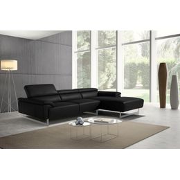 Ecksofa Egoitaliano "Malika, edel und bequem, Designsofa mit hochwertigen Bez&uuml;gen, L-Form", schwarz, B:287cm H:94cm T:165cm, Leder &raquo;BULL&laquo; (echtes Rindsleder). Geschliffenes, pigmentiertes und behandeltes Rindsleder mit einer Dicke von 1, 3-1, 5 mm. Dieses Leder zeigt eine ziemlich weiche Hand mit einem halb undurchsichtigen Aussehen. Es handelt sich um ein gesch&uuml;tztes Leder. Eine leichte Deckschic