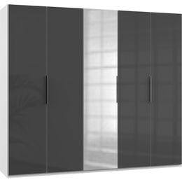 Kleiderschrank wimex "Level by fresh to go", wei&szlig; (wei&szlig;, grauglas), B:250cm H:216cm T:58cm, Schr&auml;nke, Kleiderschrank, mit Glas- und Spiegelt&uuml;ren