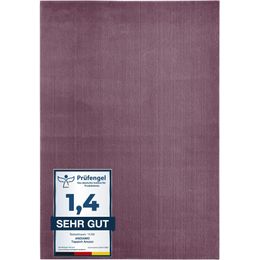 Teppich ANDIAMO "Arezzo", lila (lavendel), B:160cm H:16mm L:230cm, Polyester, Teppiche, Teppich, Uni Farben, weicher Flor, waschbar, ideal im Wohnzimmer & Schlafzimmer