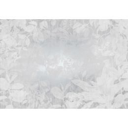 Vliestapete Komar "Digitaldruck Vlies - Flora - Gr&ouml;&szlig;e 400 x 280 cm", grau (silber, grau, wei&szlig;), B:400m L:280m, Vlies, Tapeten, Vliestapete, Wohnzimmer, Schlafzimmer