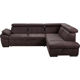 Ecksofa exxpo - SOFA FASHION "Salerno, Funktionssofa, hoher Sitzkomfort, Breite 268cm, L-Form", braun (dunkelbraun), B:268cm H:77cm T:204cm, NaturLeder;Primabelle-Microfaser (100% Polyester);Luxus-Kunstleder, Sofas, Ecksofa, inkl. Kopf- und Armteilverstellung, wahlweise mit Bettfunktion