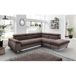 Ecksofa COTTA "Komaris L-Form, B: 249 cm", braun (mud, espresso), B:249cm H:72cm T:100cm, Microfaser PRIMABELLE (100% Polyester);Kunstleder SOFTLUX;Feinstruktur (100% Polyester);Kunstleder SOFTLUX/Struktur (100% Polyester);NaturLEDER, Sofas, Ecksofa, mit Kopfteilverstellung, optional Bettfunktion, Bettkasten & Licht