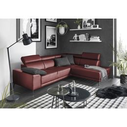 Ecksofa 3C CANDY "Greve modern und bequem, inkl. manueller Kopfteilverstellung, L-Form", rot, B:249cm H:79cm T:209cm, 100% Leder, Sofas, Ecksofa, wahlweise mit motorischem Sitzvorzug