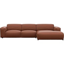 Ecksofa FLEXLUX "Lucera bequem und komfortabel durch hochwertigen Sitzaufbau, L-Form", braun (old chestnut braun), B:319cm H:73cm T:171cm, 100% Echteder, Sofas, Ecksofa, modern & anschmiegsam, Kaltschaum, Stahl-Wellenunterfederung