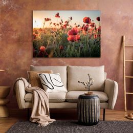 XXL-Wandbild queence "Akustikbild Mohn Mohnfeld bei Sonnenaufgang", wei&szlig;, neutral, B:150cm H:100cm T:2,5cm, Polyester, Bilder, XXL-Wandbild