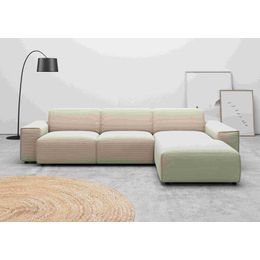 Ecksofa Home Affaire "Glimminge auch in Breitcord, Feincord, Boucl&eacute; + Easy care-Bezug", beige (natur), B:294cm H:71cm, 12% Polyaxryl, 88% Polyester, Sofas, Ecksofa, L-Form, Breite 294, Zierkissen