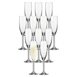 Sektglas Leonardo "Sektglas Daily 200 ml 12er Set transparent", bunt (transparent), Glas, Trinkgef&auml;&szlig;e, Sektglas