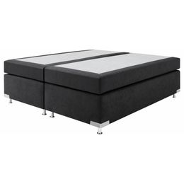 Boxspringbett "Holland", schwarz, B:182cm L:201cm, Microvelours (100% Polyester), Westfalia Schlafkomfort, Komplettbetten, Boxspringbett, ohne Kopfteil, frei im Raum stellbar