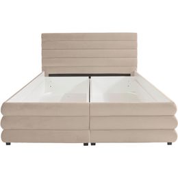 Polsterbett "Maylis", beige (creme), B:172cm L:211cm, 100% Polyester, LeGer Home by Lena Gercke, Betten, Polsterbett, wahlweise mit und ohne Matratze und Lattenrost, auch in 200cm Breite