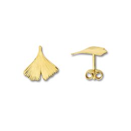 Paar Ohrstecker ONE ELEMENT "Ginkgoblatt Ohrringe Ohrstecker aus 333 Gelbgold", gold, Ohrringe, Damen, Gelbgold 333, Paar Ohrstecker