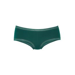 Panty Lascana, Damen, Gr. 36/38, tannengr&uuml;n, Jersey, Obermaterial: 95% Baumwolle, 5% Elasthan. Spitze: 90% Polyamid, 10% Elasthan, unifarben, Unterhosen Panty, aus elastischer Baumwolle mit weicher Spitze