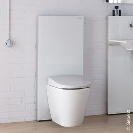 Geberit Monolith Sanit&auml;rmodul H: 114,5 cm, f&uuml;r Stand-WC, 131033SI5,