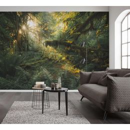 Fototapete Komar "Digitaldruck Vlies - Hall of Mosses - Gr&ouml;&szlig;e 400 x 250 cm", gr&uuml;n, Rollen: 1, Vlies, Tapeten, Fototapete, Wohnzimmer, Schlafzimmer