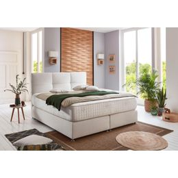 Boxspringbett GR&Uuml;NE BETTEN "Alina", beige (creme, wei&szlig;), B:160cm L:207cm, Bezug Bett: Strukturstoff (100% Polyester);Bezug Matratzenspiegel: Jersey antiallergisch (Viscose), Komplettbetten, Boxspringbett, mit Tonnentaschenfederkern-Matratze, 100% vegan