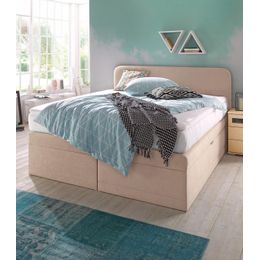 Boxspringbett, beige (dunkelbeige), B:145cm L:212cm, Box und Kopfteil: Microvelours (100% Polyester) oder Kunstleder (Polyurethan);Bezug der Obermatratze: 100% Polyester, Westfalia Schlafkomfort, Komplettbetten, Boxspringbett, wahlweise mit Bettkasten