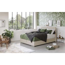 Boxbett COTTA "Tom mit Bettkasten, Topper und Zierkissen", beige, B:145cm L:209cm, Komplettbetten, Boxbett, Bestseller, Unser Dauertiefpreis