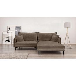 Ecksofa Home Affaire "ALEXANDRIA mit Recamiere rechts oder links bestellbar, moderne Bez&uuml;ge", grau (taupe), B:246cm H:86cm T:190cm, 100% Polyester, Sofas, Ecksofa, L-Form mit Wellenunterfederung, Ma&szlig;e: B/H/T 246/86/190 cm