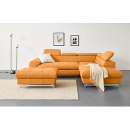 Ecksofa COTTA "Chef L-Form", orange (amber), B:257cm H:72cm T:206cm, Luxus-Microfaser (100% Polyester);Kunstleder Softlux;Leder Advantage (abgedecktes Spalt-Rindsleder), R&uuml;ckseite mit schwarzem Spannstoff bezogen;NaturLEDER (echtes Rindsleder), R&uuml;ckseite mit schwarzem Spannstoff bezogen, Sofas, Ecksofa, mit Kopfteilverstellung, edle Metallkufen, wahlweise mit Bettfunktion