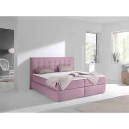 Boxspringbett Home Affaire "Sagres", rosa (ros&eacute;), B:195cm L:210cm, Feinstruktur(100% Polyester);Bezug der Spiegelfl&auml;che Matratzendrell aus 100% Polyester, Komplettbetten, Boxspringbett, Kopfteil mit 2farbiger Flatterbiese und zweifarbigen Kn&ouml;pfen