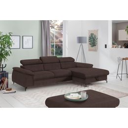Ecksofa COTTA "Kitty L-Form, B: 242 cm", braun (espresso), B:244cm H:72cm T:166cm, Microfaser (100% Polyester);Flachgewebe (100% Polyester), Sofas, Ecksofa, mit Kopfteilverstellung, optional Bettfunktion & Bettkasten