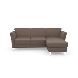 Sit & More Ecksofa SIT & MORE "Visby L-Form", grau (taupe), B:248cm H:87cm T:162cm, Sofas, Ecksofa, wahlweise mit Bettfunktion und Bettkasten, frei im Raum stellbar
