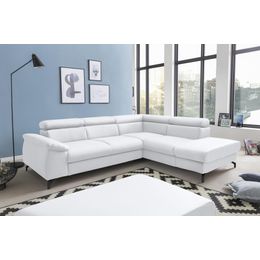 Ecksofa COTTA "Kitty L-Form, B: 249 cm", wei&szlig;, B:249cm H:72cm T:207cm, Microfaser (100% Polyester);Flachgewebe (100% Polyester), Sofas, Ecksofa, mit Kopfteilverstellung, optional Bettfunktion & Bettkasten