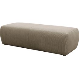 Hocker DOMO collection "Brandon", braun (schlamm), B:150cm H:40cm T:60cm, 100% Polyester, Hocker, Hocker, gro&szlig;e Ausf&uuml;hrung passend zu "Brandon", auch in Cord