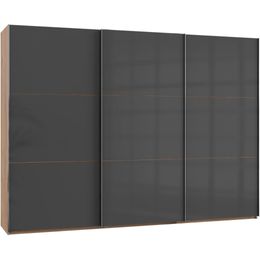 Schwebet&uuml;renschrank wimex "Level by fresh to go", grau (plankeneichefarben, grauglas), B:300cm H:216cm T:65cm, Schr&auml;nke, Schwebet&uuml;renschrank, mit Glast&uuml;ren